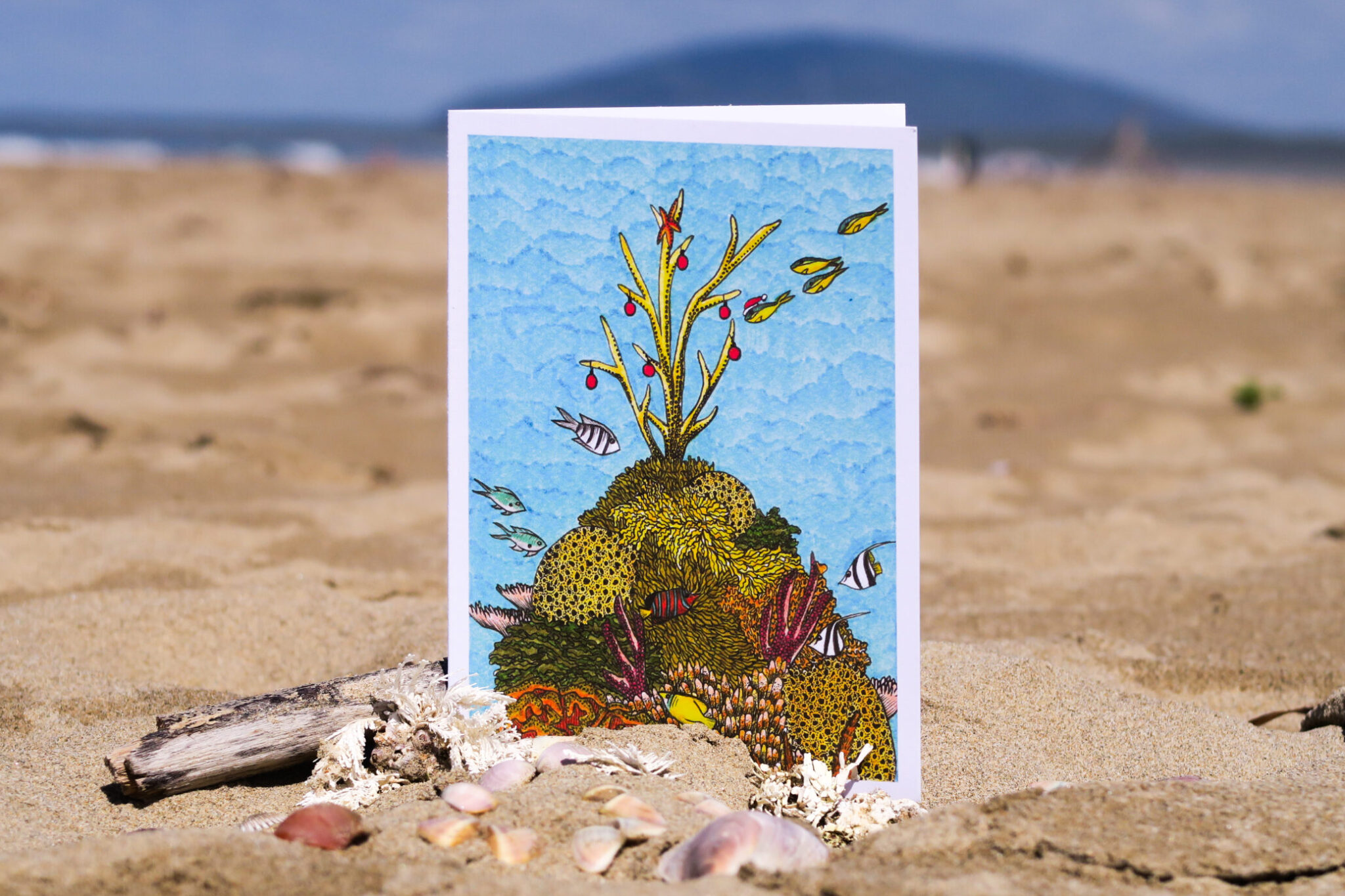 Murray Cod – Sunshine Sea Art.