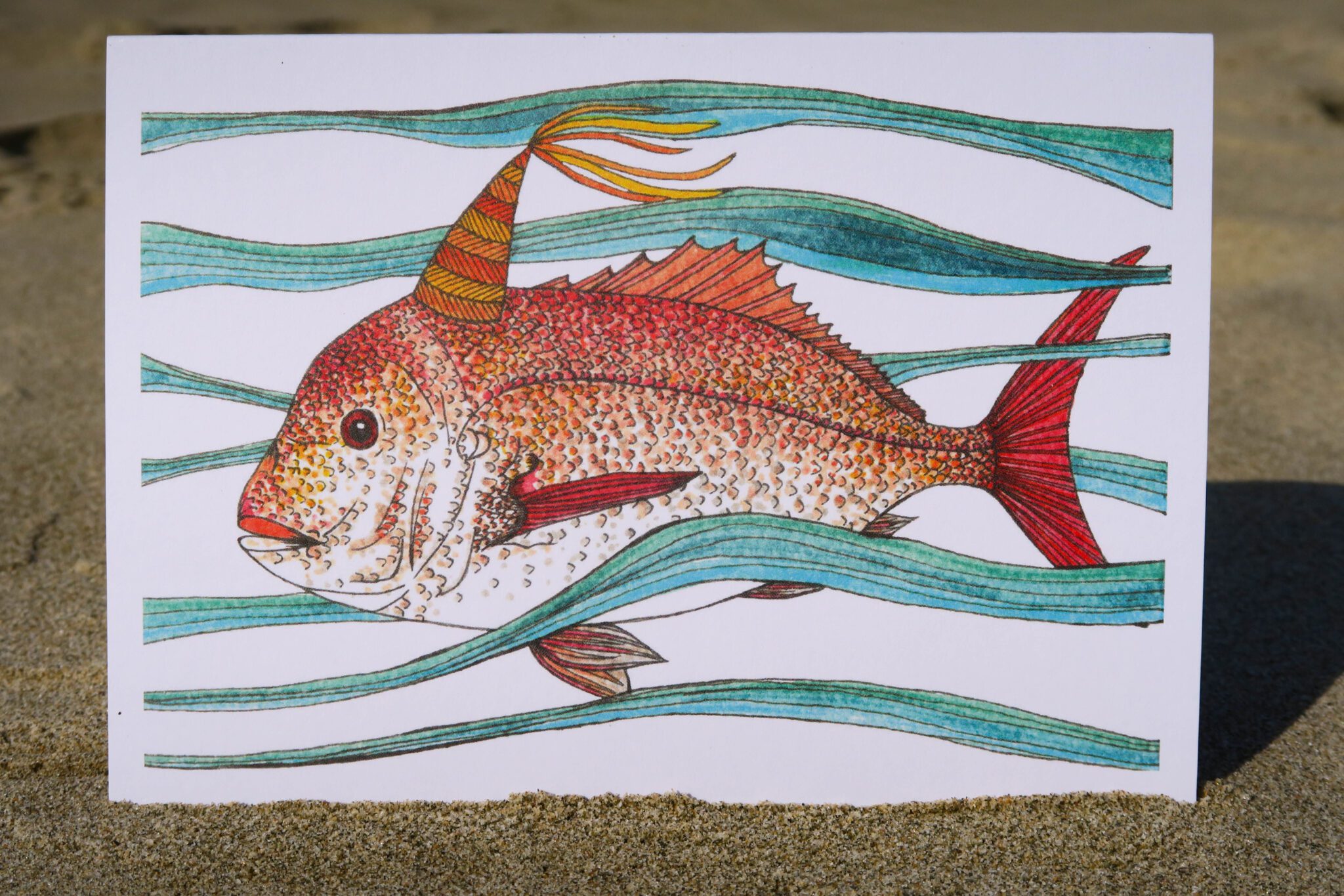 Murray Cod – Sunshine Sea Art.